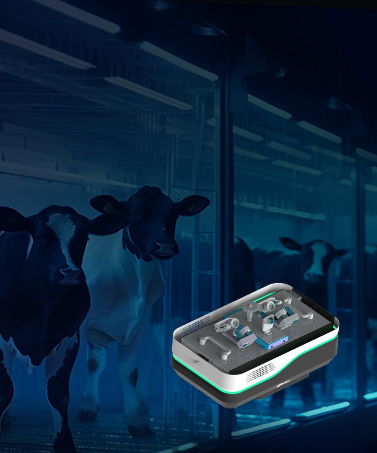 Advanced Inspection Robots for Efficient Industry Solutions-Raytron